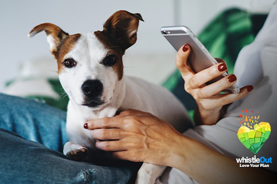 Fido Launches $0 Mini Tabs With Free Phones on 2-year Plans | WhistleOut